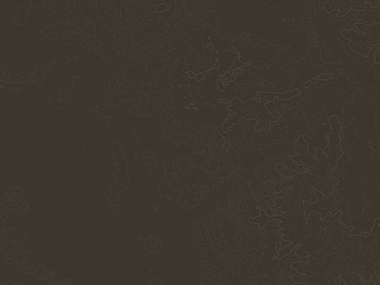 Die 20 beeindruckendsten Naturdenkmäler rund um Burgwald | Komoot