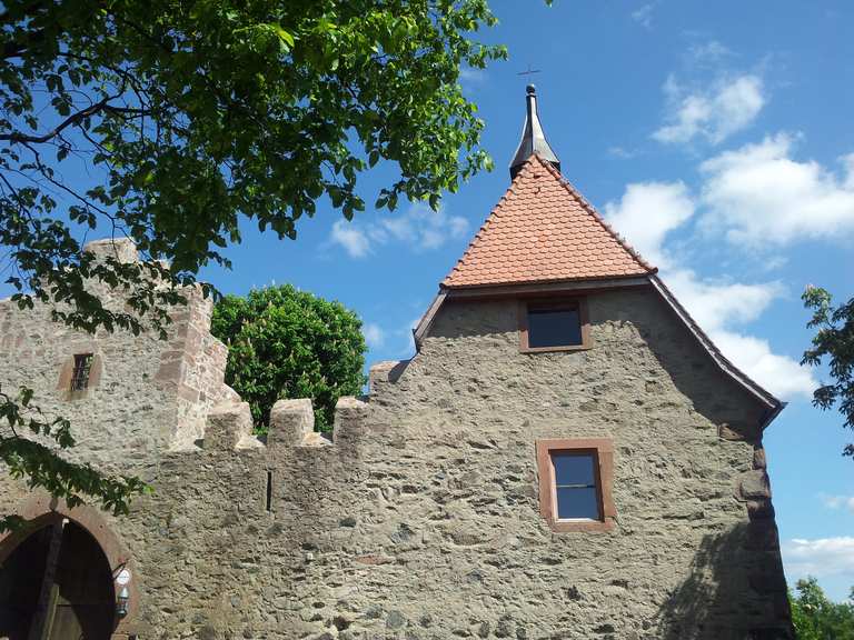 Schloss Reichenberg Routes for Walking and Hiking | Komoot