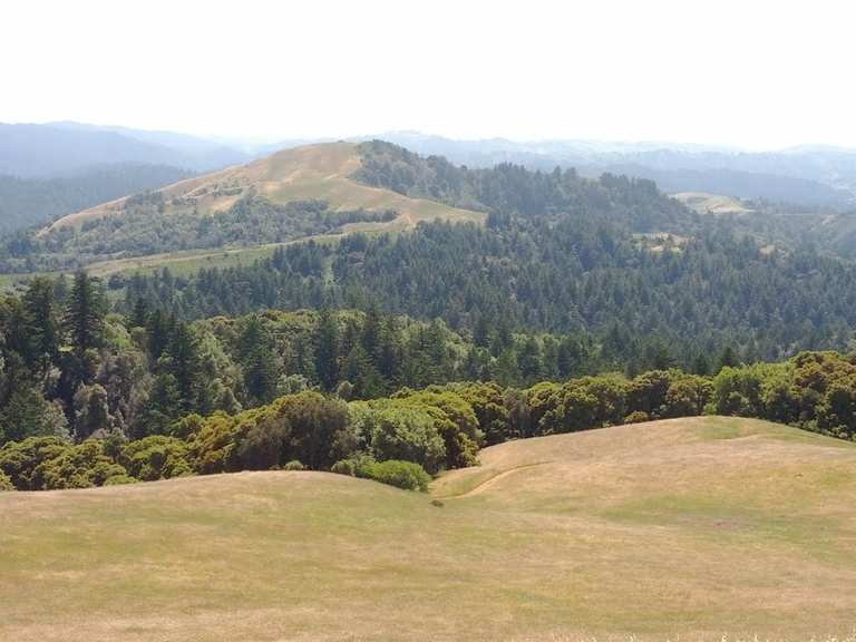 Borel Hill & Mindego Hill Windmill via Ridge & Ancient Oaks Trail loop ...