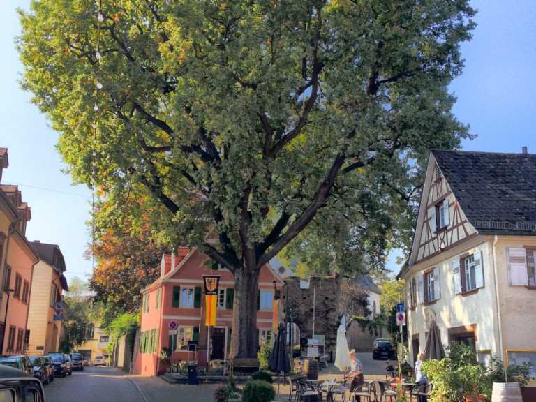 Nierstein - Cycle Routes and Map | Komoot