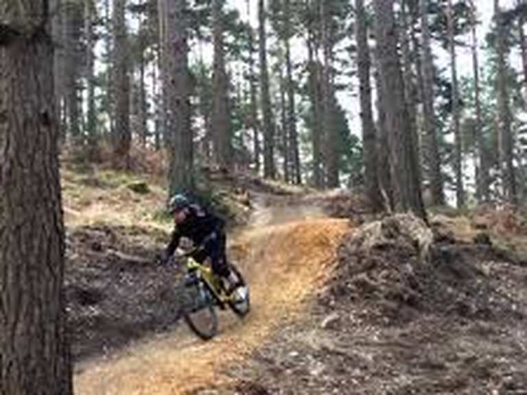 Swinley Forest red loop - Mountain Bike Trails & Tracks | Komoot