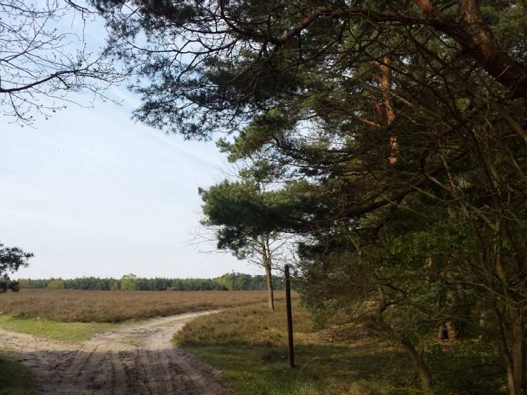Heiliger Hain - Routes for Walking and Hiking | Komoot