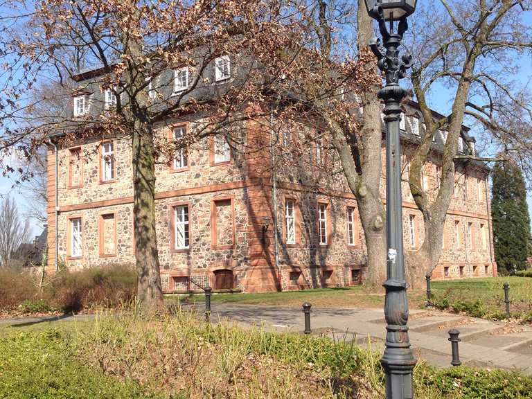 Schlosspark Langenselbold : Radtouren und Radwege | komoot