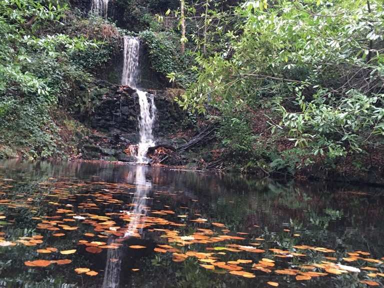 Tillingbourne Waterfall Routes for Walking and Hiking | Komoot