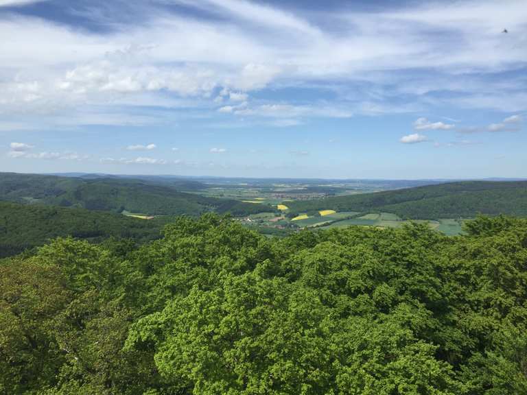 Rimberg und Rimbergturm: Wanderungen und Rundwege | komoot