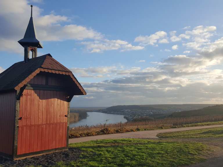 Nackenheim - Nierstein | Wanderung | Komoot