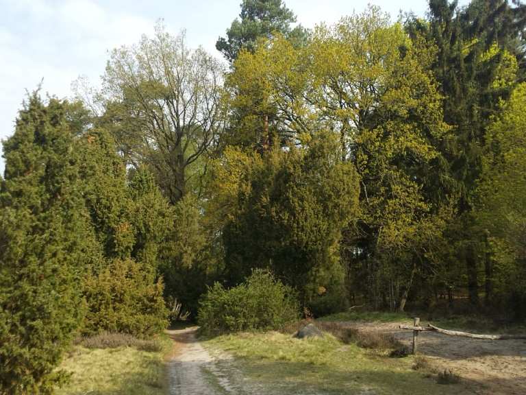 Heiliger Hain - Routes for Walking and Hiking | Komoot