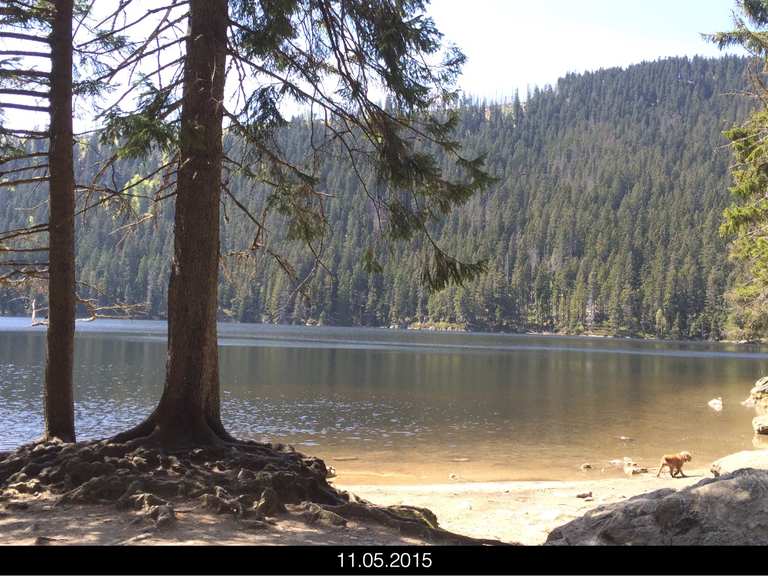 Teufelssee: Mountainbike-Touren und -Trails | komoot