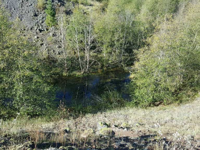 Hummocks Trail loop — Mount St. Helens National Monument | hike | Komoot