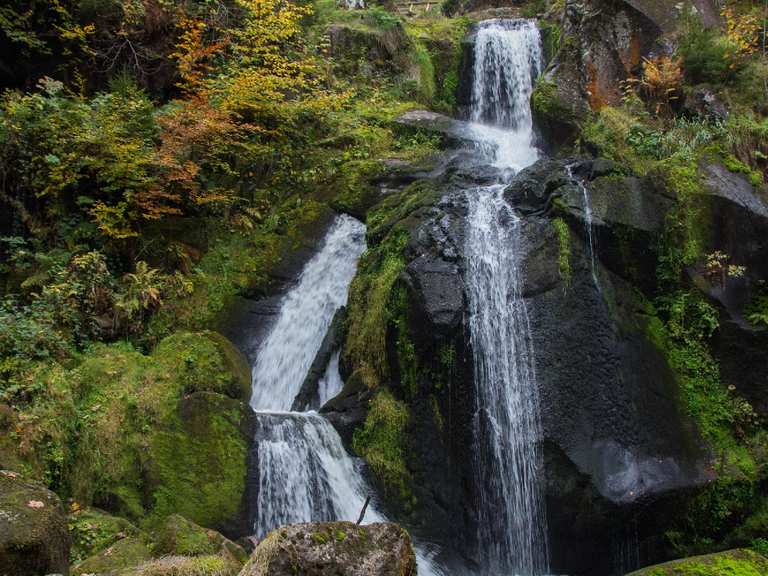 Triberg Waterfalls Routes for Walking and Hiking | Komoot