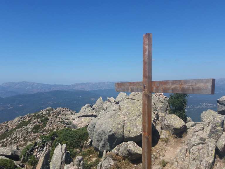 Punta di a Vacca Morta – Faszinierender Baum Loop from Carbini | hike ...