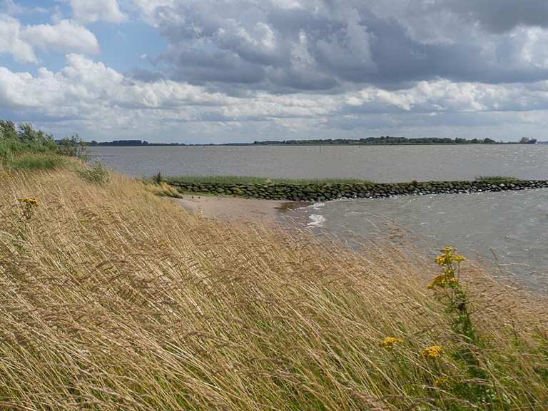 Kollmar Hafen - Itinéraires vélo et carte | Komoot