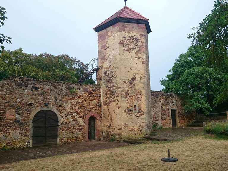 Burg Battenberg wandelroutes en hikes | Komoot