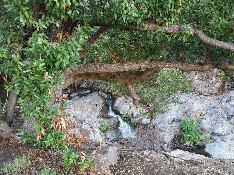 Etiwanda Falls – San Bernardino National Forest | wandeling | Komoot
