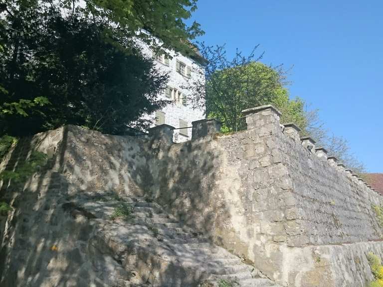 Schloss Brunegg: MTB-routes en trails | Komoot