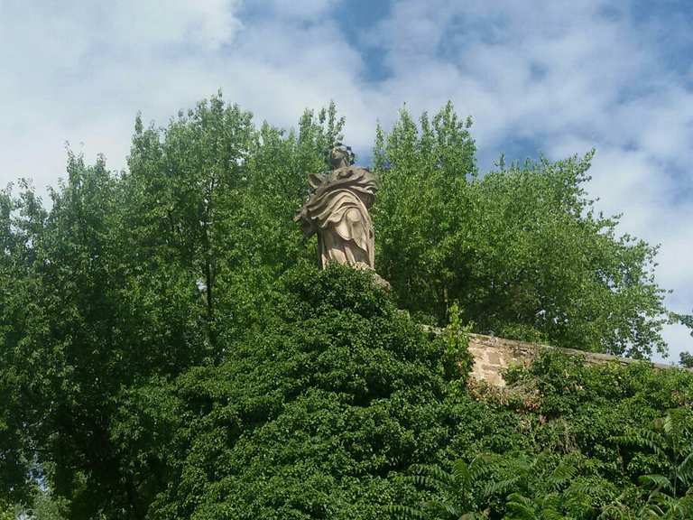 Madonna im Forster Ungeheuer: Mountainbike-Touren und -Trails | komoot