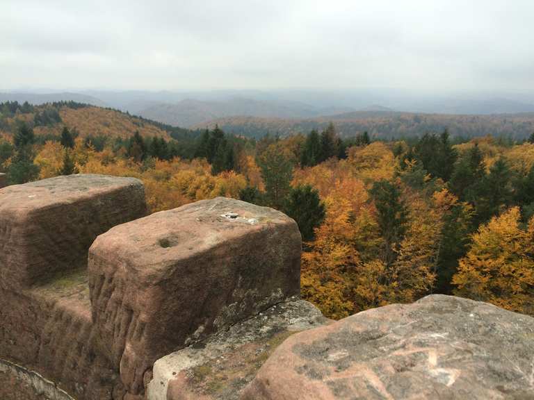 Großer Wintersberg Loop from Niederbronn-les-Bains | Wanderung | Komoot