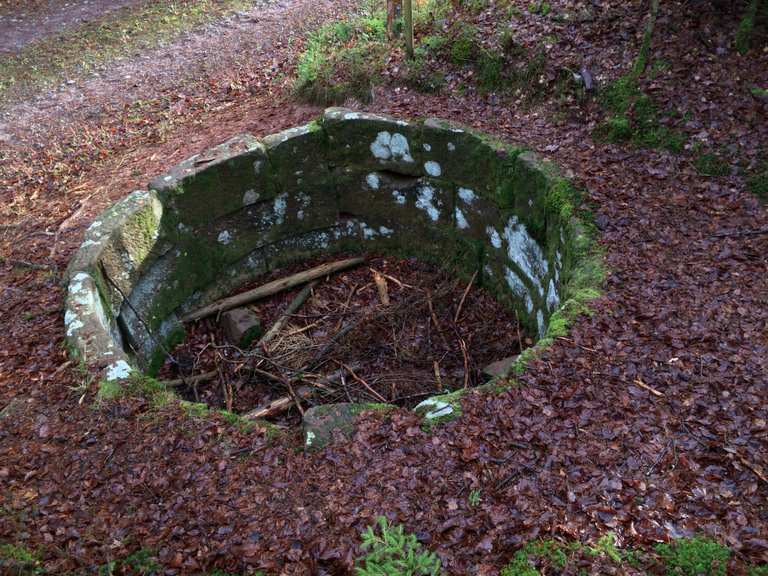 Wolf pit Routes for Walking and Hiking | Komoot