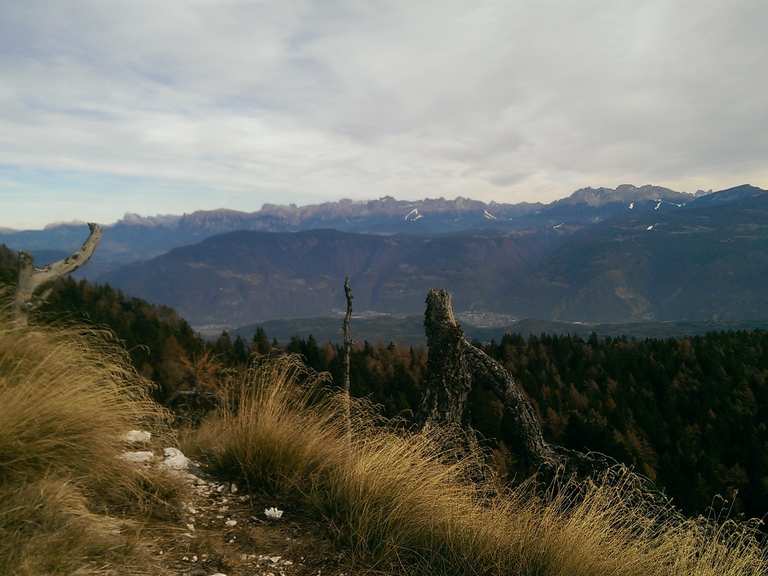 Malga Malosco e Monte Toval — Giro ad anello | Wanderung | Komoot