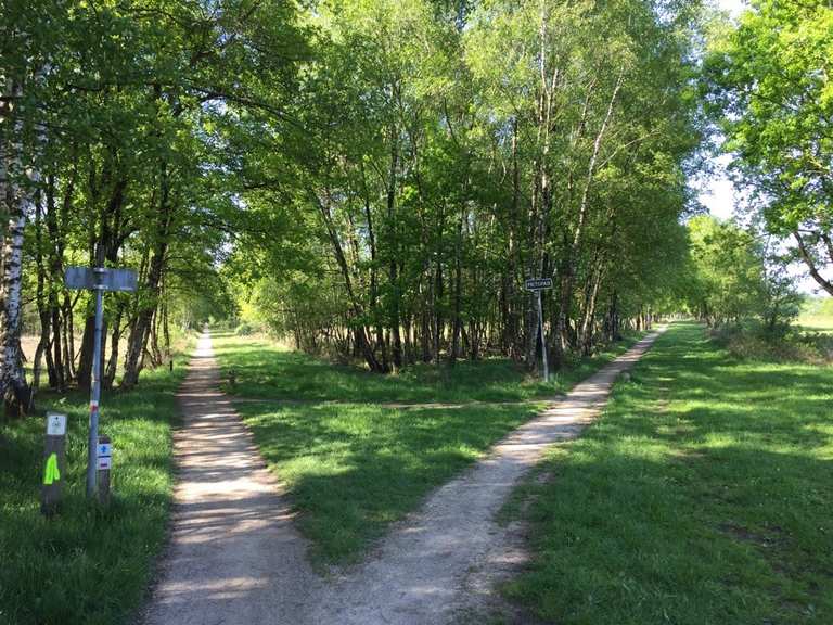 Witte Veen – Fietspad - Horsterveldweg Rondje vanuit Buurse ...