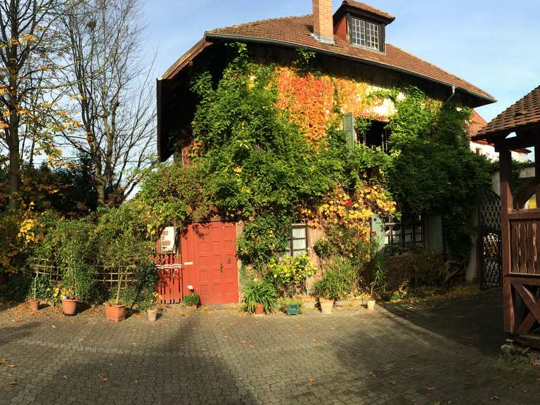 Schloss Augustenburg Routes for Walking and Hiking | Komoot