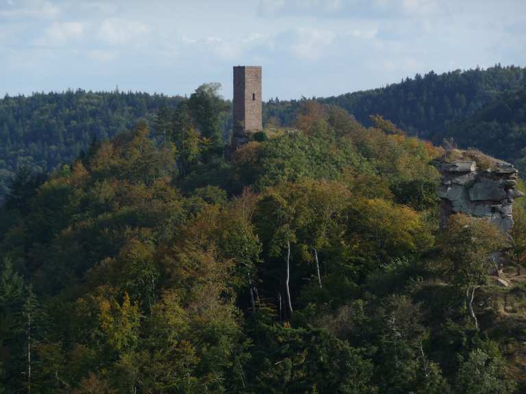 Burg Scharfenberg (Münz) Routes for Walking and Hiking | Komoot