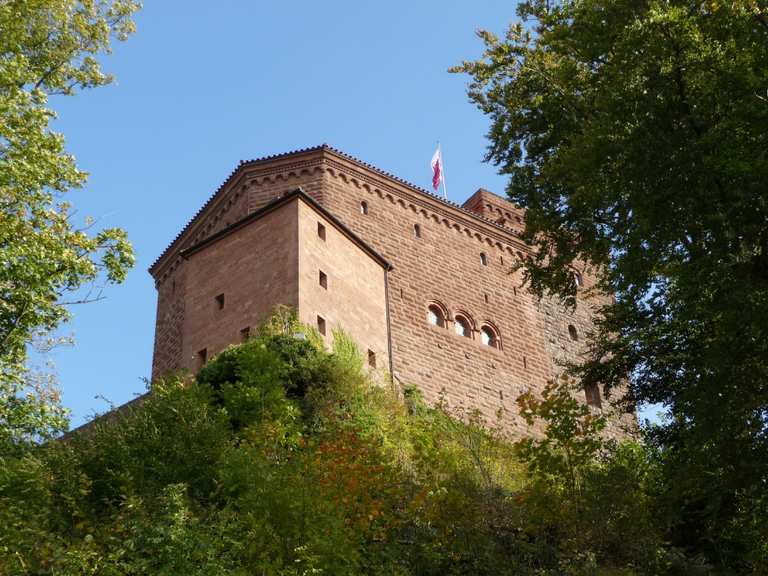 Burg Trifels: Wanderungen und Rundwege | komoot