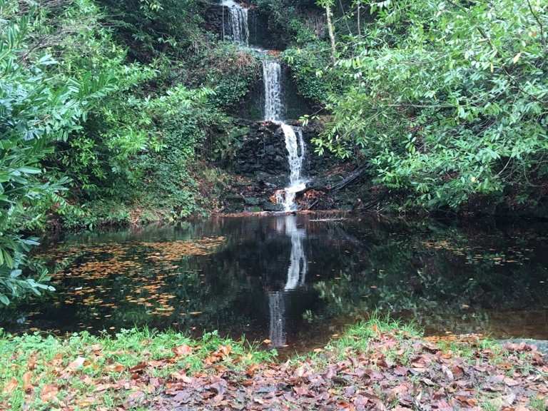 Tillingbourne Waterfall Routes for Walking and Hiking | Komoot