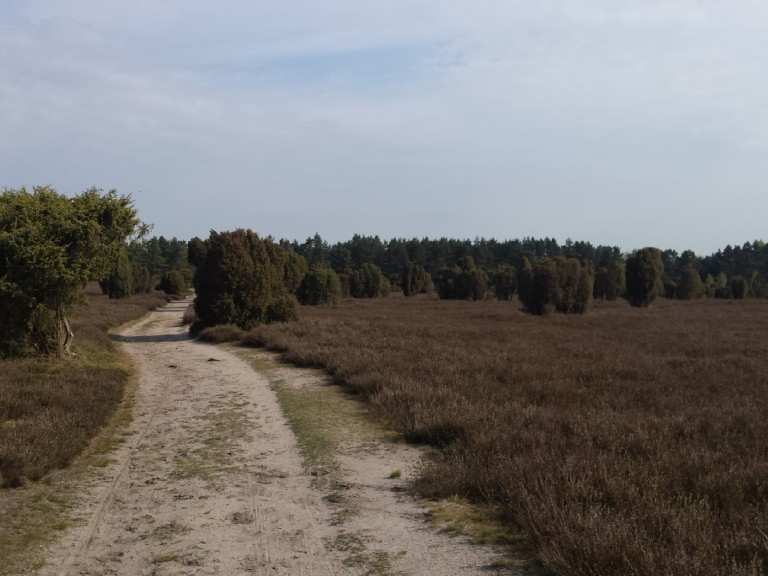 Heiliger Hain: Wanderungen und Rundwege | komoot