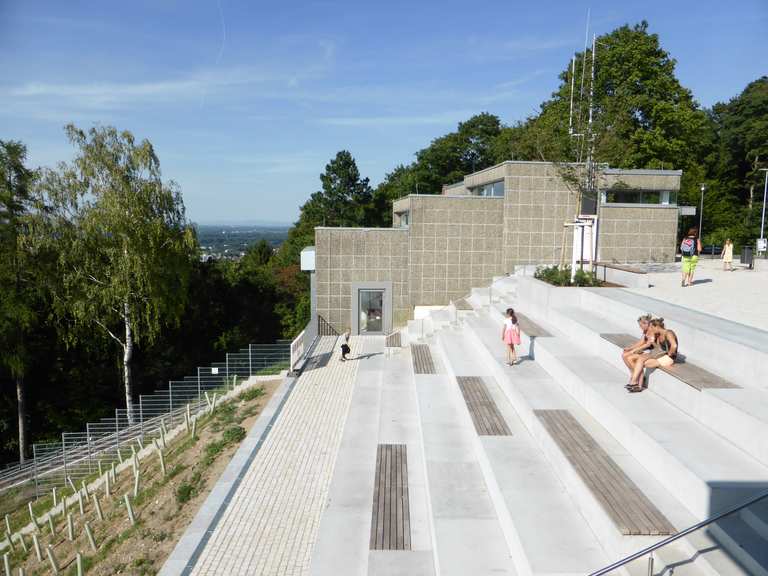 View of Karlsruhe from Turmberg: Mountainbike-Touren und -Trails | komoot