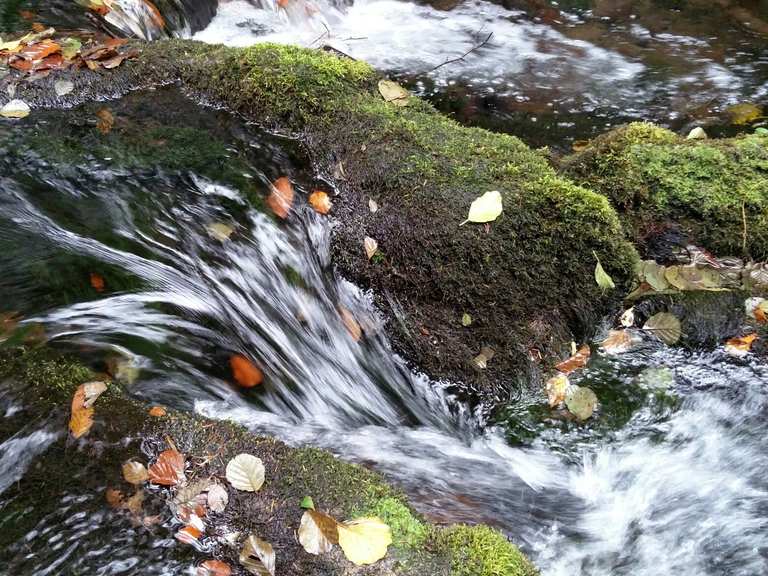Eyach Wasserwegle: Wanderungen und Rundwege | komoot