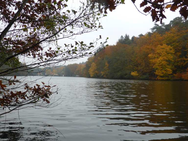 Seehofweiher - Cycle Routes and Map | Komoot
