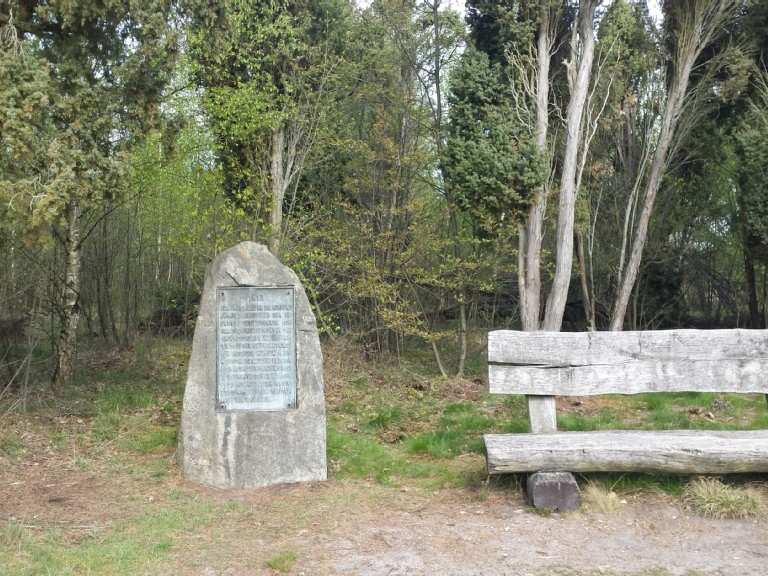 Heiliger Hain - Routes for Walking and Hiking | Komoot