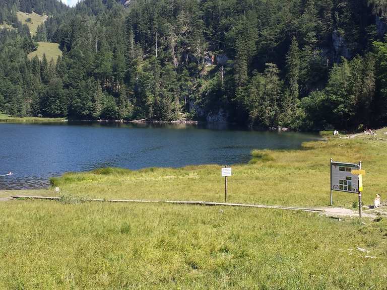 Taubensee: Wanderungen und Rundwege | komoot