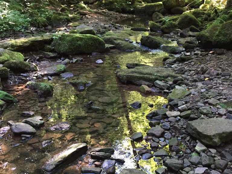 Monbachtal-Schlucht: Wanderungen und Rundwege | komoot