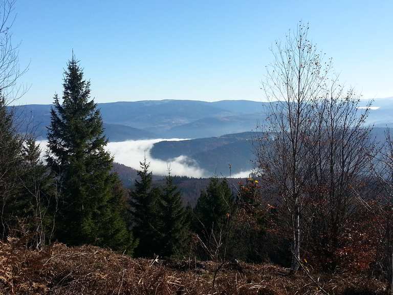 Chemin de Montagne menant au Mont Donon - Itinéraires de rando et ...