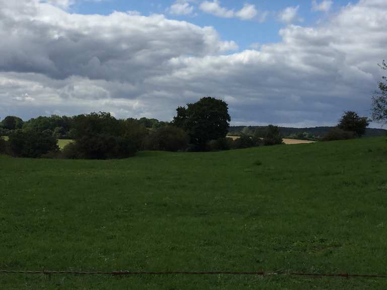 Venusberg: Wanderungen und Rundwege | komoot