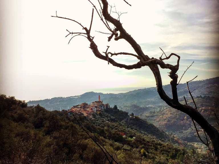 Centro di Civezza – Civezza Rondje vanuit Civezza | wandeling | Komoot