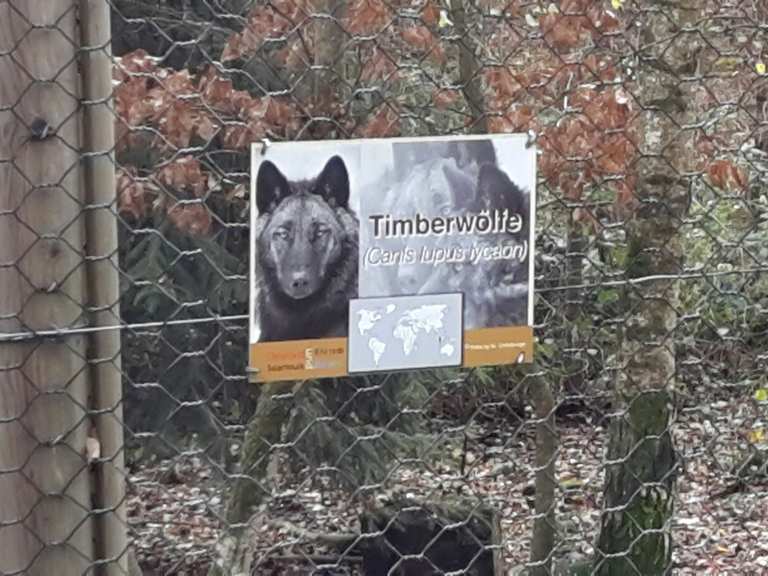 Merzig Wolfspark Routes for Walking and Hiking | Komoot