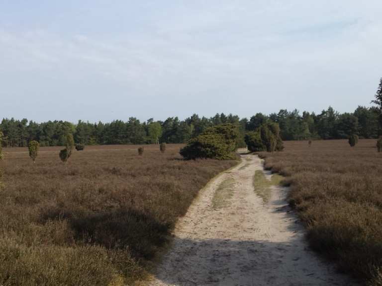 Heiliger Hain: Wanderungen und Rundwege | komoot
