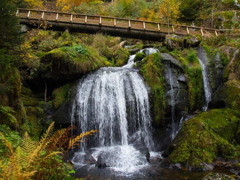 Triberg Waterfalls Routes for Walking and Hiking | Komoot