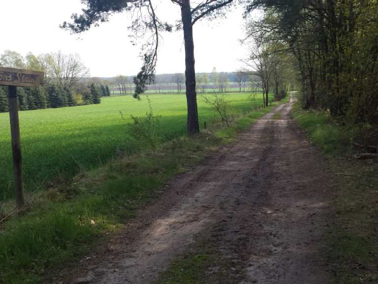 Heiliger Hain - Routes for Walking and Hiking | Komoot