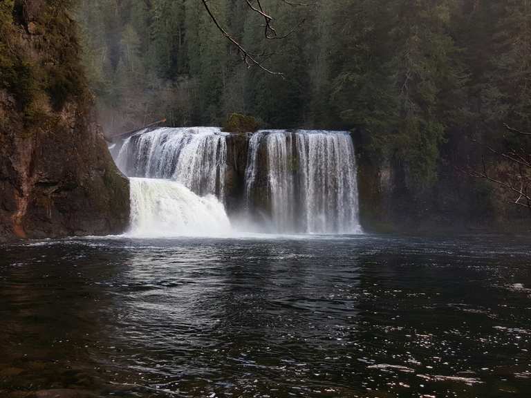 Lewis River Falls Hike – Gifford Pinchot National Forest | hike | Komoot
