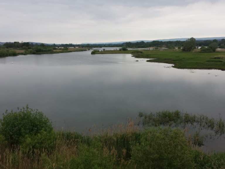 Vogelinsel im Altmühlsee Routes for Walking and Hiking | Komoot