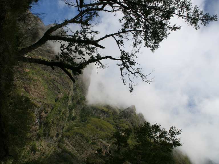 Pico Ruivo Tunnel (Levada do Pico Ruivo): Wanderungen und Rundwege | komoot