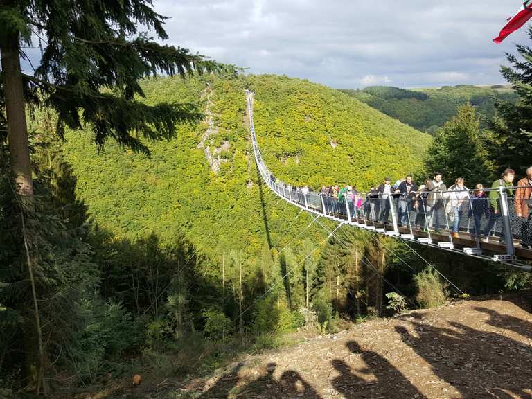 Geierlay Hängeseilbrücke - Sosberg, Cochem-Zell | Hiking Segment | Komoot
