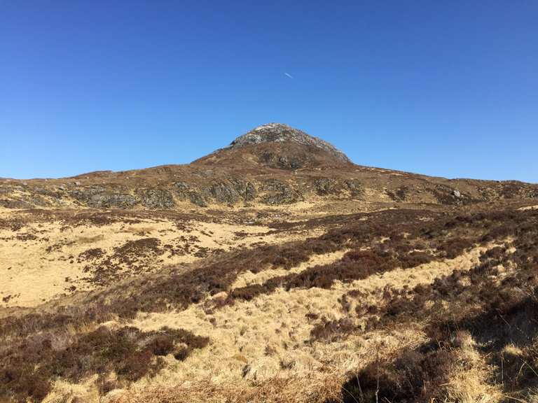 Diamond Hill Routes for Walking and Hiking | Komoot