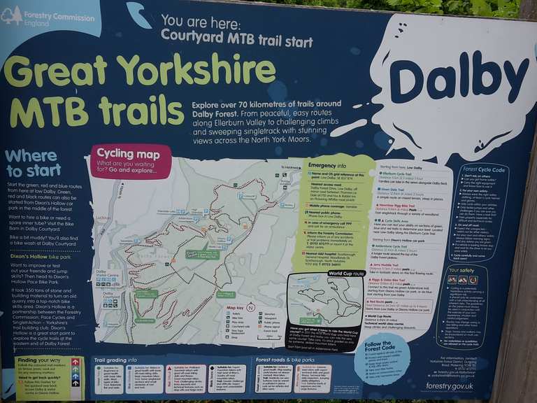 Dalby Forest MTB Trails - Mountain Bike Trails & Tracks | Komoot