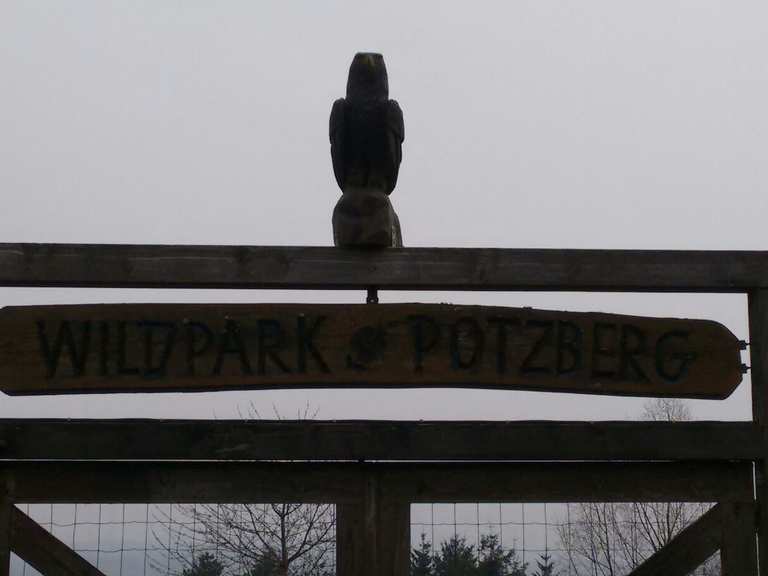 Wildpark Potzberg - super Greifvogelschau und schöne Einkehr - top off ...