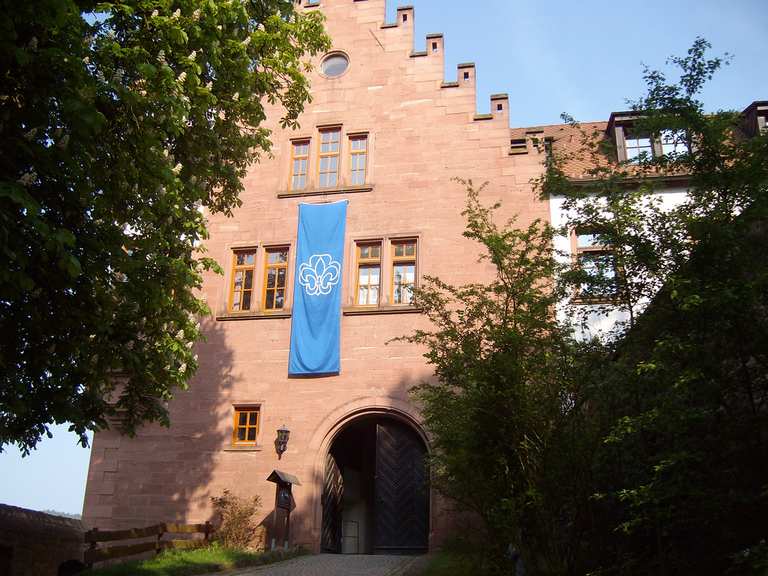 Burg Rieneck: Wanderungen und Rundwege | komoot